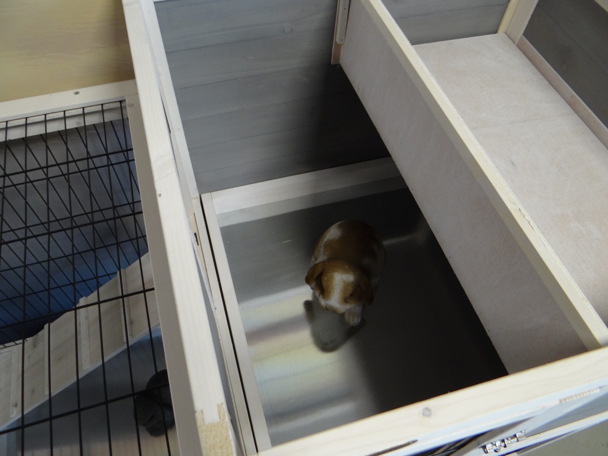 Rabbit cage Esmee | Indoor cage